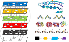 Home [www.phenomics.ruhr-uni-bochum.de]